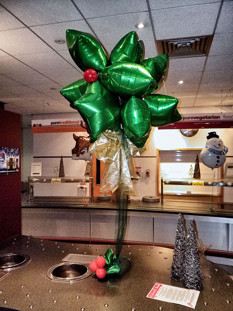 large-bunch-of-balloon-holly - One Stop Party Shop